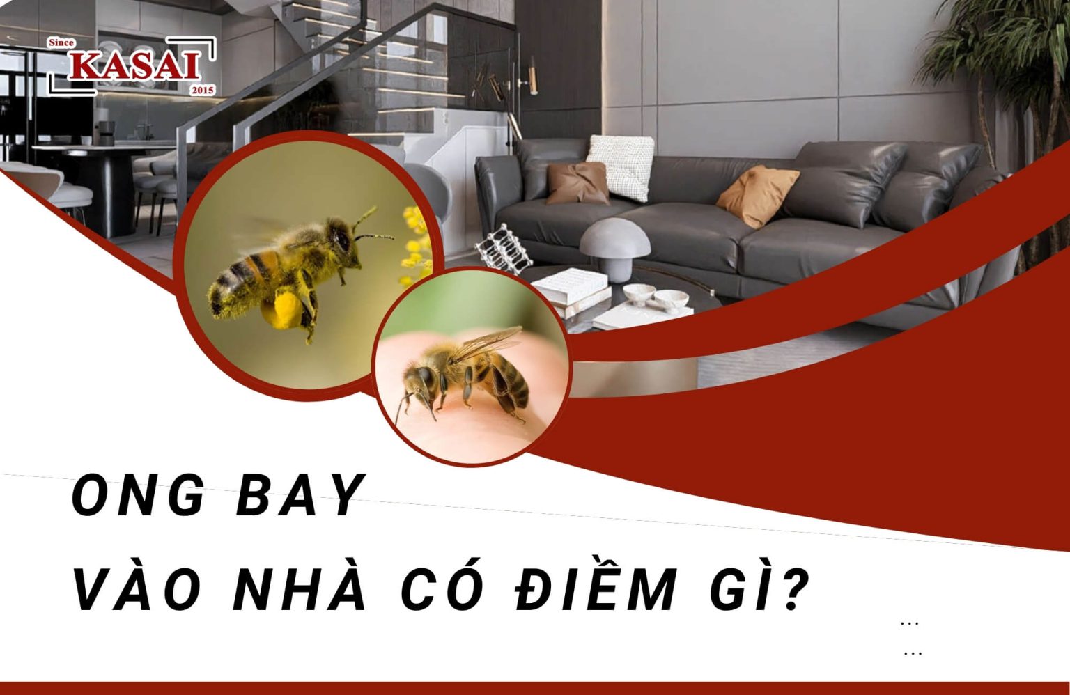 Bạn có biết ong vàng, ong mật, ong ruồi bay vào nhà điềm gì?